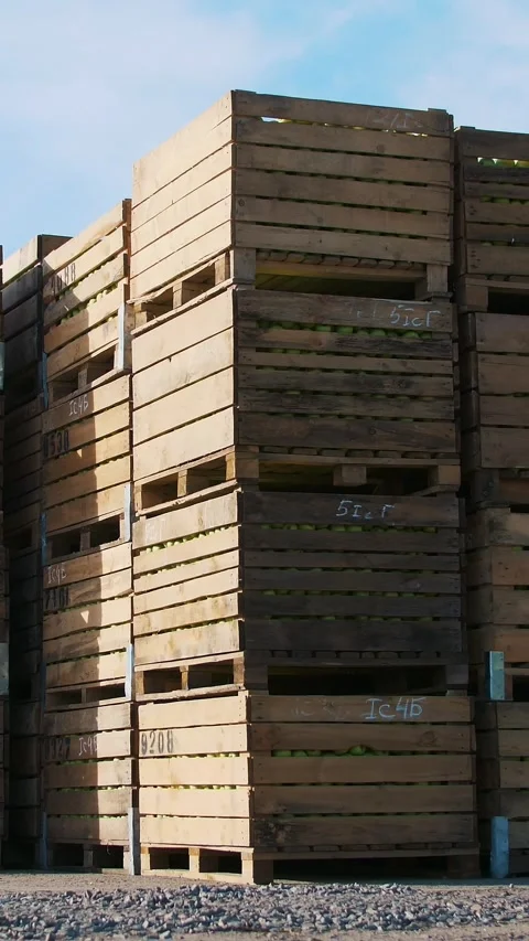 Annual Package Stock Videos – Royalty-Free HD & 4K Videos