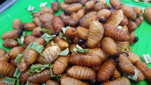 Larva palm worm weevil deep fried fat in... | Stock Video | Pond5