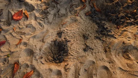 Make It Last Stock Videos – Royalty-Free HD & 4K Videos | Pond5