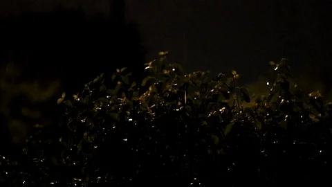 A late stormy night out here in Arizona,... | Stock Video | Pond5