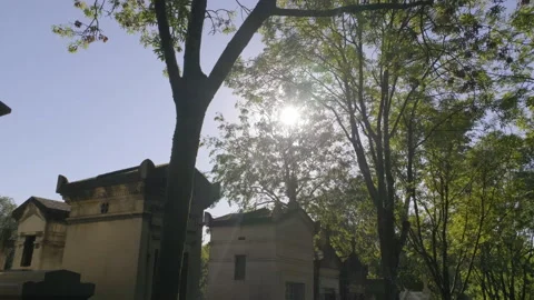 lateral traveling shot of numerous mauso... | Stock Video | Pond5