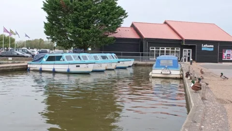 Fishing 4 Tackle Stock Videos – Royalty-Free HD & 4K Videos | Pond5