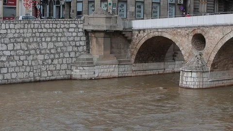 Archduke Ferdinand Assassinated Stock Videos – Royalty-Free HD & 4K Videos