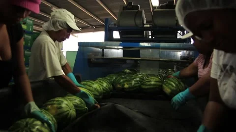 Latinos Cleaning Stock Videos – Royalty-Free HD & 4K Videos | Pond5