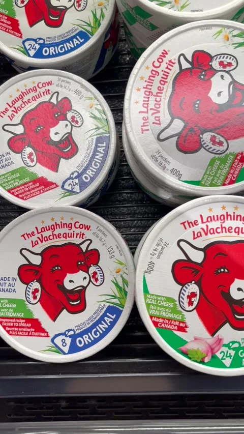 Laughing Cow Stock Videos – Royalty-Free HD & 4K Videos