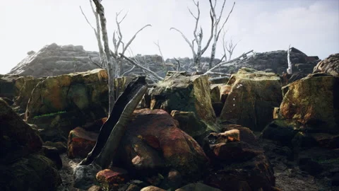 lava stone field with dead trees and pla... | Stock Video | Pond5