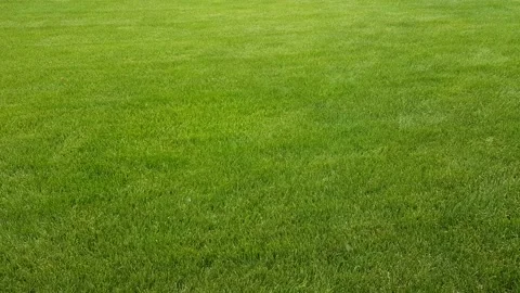 Bluegrass Stock Footage ~ Royalty Free Stock Videos | Pond5