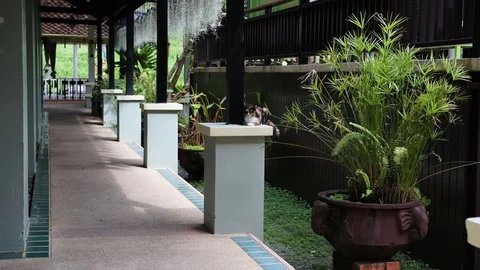 Beautiful Black Breasts Stock Video Footage | Royalty Free Beautiful Black Breasts Videos | Pond5