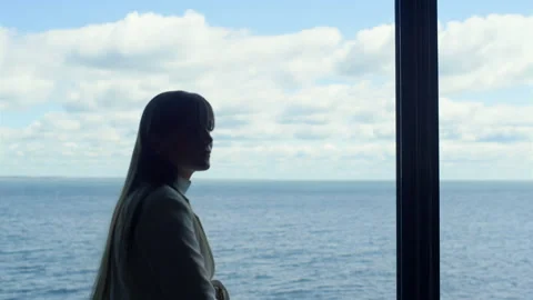 Leader Silhouette Woman Stock Videos – Royalty-Free HD & 4K Videos | Pond5