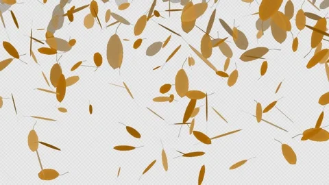 Leaf Fall. Animation with Alpha Channel.... | Stock Video | Pond5