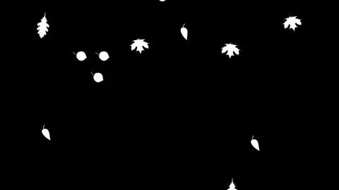 Leaf fall background. The animation of t... | Stock Video | Pond5