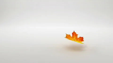 A Falling Leaf Stock Videos – Royalty-Free HD & 4K Videos | Pond5