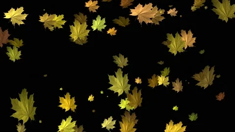 leafs falling animation with alpha matte | Stock Video | Pond5