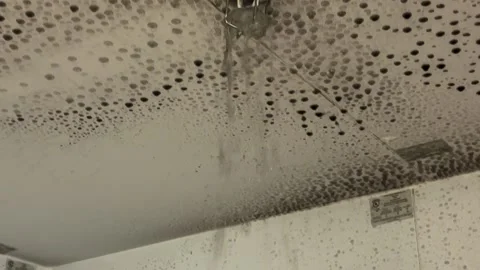 Ceiling Fire Sprinkler Leaking | Shelly Lighting