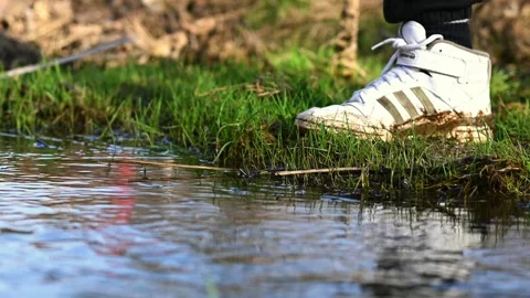 Leap Across: Over a Stream in the Wilder... | Stock Video | Pond5