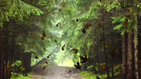 Leaves Falling 3 Loop Motion Overlay AEP ~ After Effects #283784931