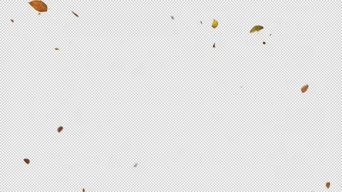 Leaves Are Falling Stock Video Footage | Royalty Free Leaves Are ...