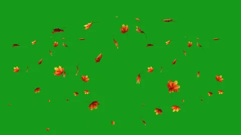 Leaves Falling Green Screen Stock Video Footage | Royalty Free Leaves ...