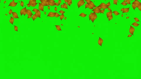 Leaves falling start animation Autumn O... | Stock Video | Pond5
