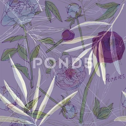 Leaves, stems and inflorescences of peonies vector illustration ...