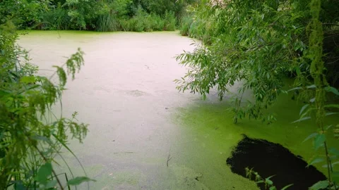 Touch By and Stock Videos – Royalty-Free HD & 4K Videos