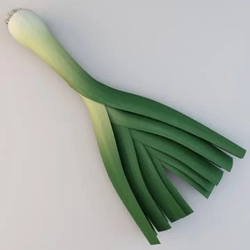3D Model: Leek ~ Buy Now #89227689 | Pond5