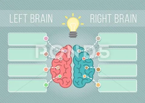 Left and Right Brain Infographics ~ Clip Art #49798091