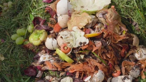 Leftover food on a compost heap close-up... | Stock Video | Pond5