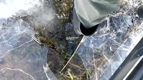 The leg breaks the ice in a puddle. Spri... | Stock Video | Pond5