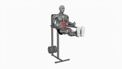 Leg raises straight legs fitness exercis... | Stock Video | Pond5