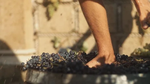 Legs of young man stomping grapes in woo... | Stock Video | Pond5