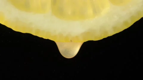 Lemon with dripping clear juice on green... | Stock Video | Pond5