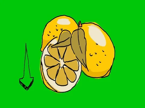 Lemon - Hand Drawn - Green Screen - SD | Stock Video | Pond5