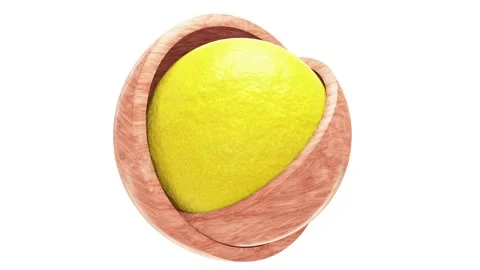 Lemon peel sphere inside of two polished... | Stock Video | Pond5
