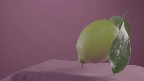 Lemon rotating with loop on fuchsia scre... | Stock Video | Pond5