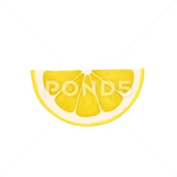 Lemon slice. Realistic illustration isolated on white background. Lemon ...