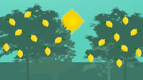 Lemon Tree - Vector Animation - Photosyn... | Stock Video | Pond5