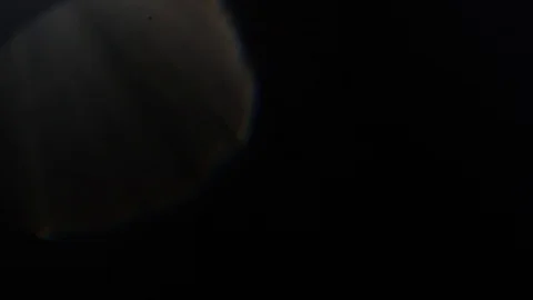 Lens flare light leak sun light real vid... | Stock Video | Pond5