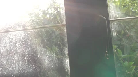 Lens Flare Through Dirty Window with Pla... | Stock Video | Pond5