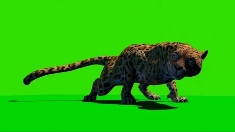 Stalking Screen Stock Video Footage | Royalty Free Stalking Screen ...