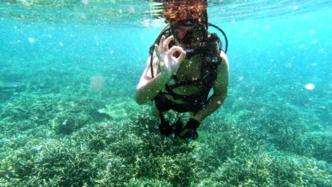 Lets Deep Dive Stock Videos – Royalty-Free HD & 4K Videos | Pond5