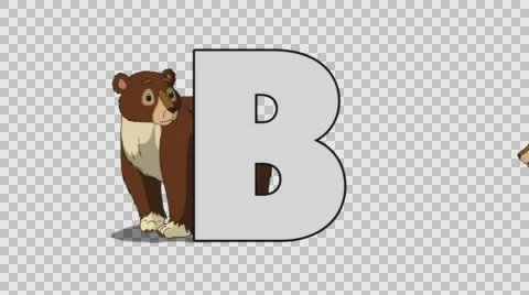 Letter Of Bear Stock Videos – Royalty-Free HD & 4K Videos | Pond5
