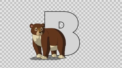 Letter Of Bear Stock Videos – Royalty-Free HD & 4K Videos | Pond5