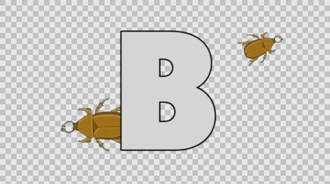 Letter B and Beetle (background) | Stock Video | Pond5