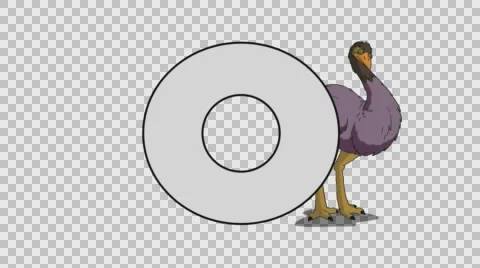 Letter O and Ostrich (background) | Stock Video | Pond5