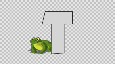 Letter T and Toad (background) | Stock Video | Pond5
