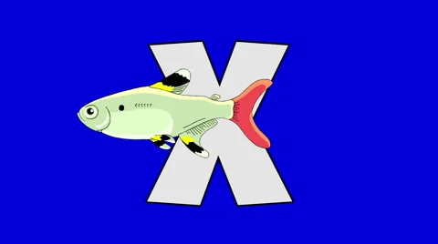 Letter X and X-ray fish (foreground) | Stock Video | Pond5