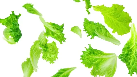 Levitation of green lettuce leaves. fly ... | Stock Video | Pond5