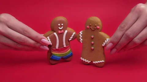 lgbt pride gay rights gingerbread man ki... | Stock Video | Pond5