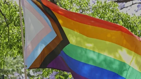 LGBTQIA Progress Pride Flag in the park | Stock Video | Pond5